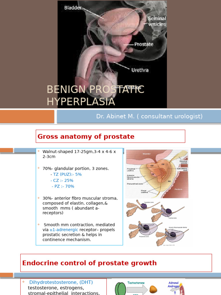 Benign Prostetic Hyper Plasia | PDF | Prostate | Urology