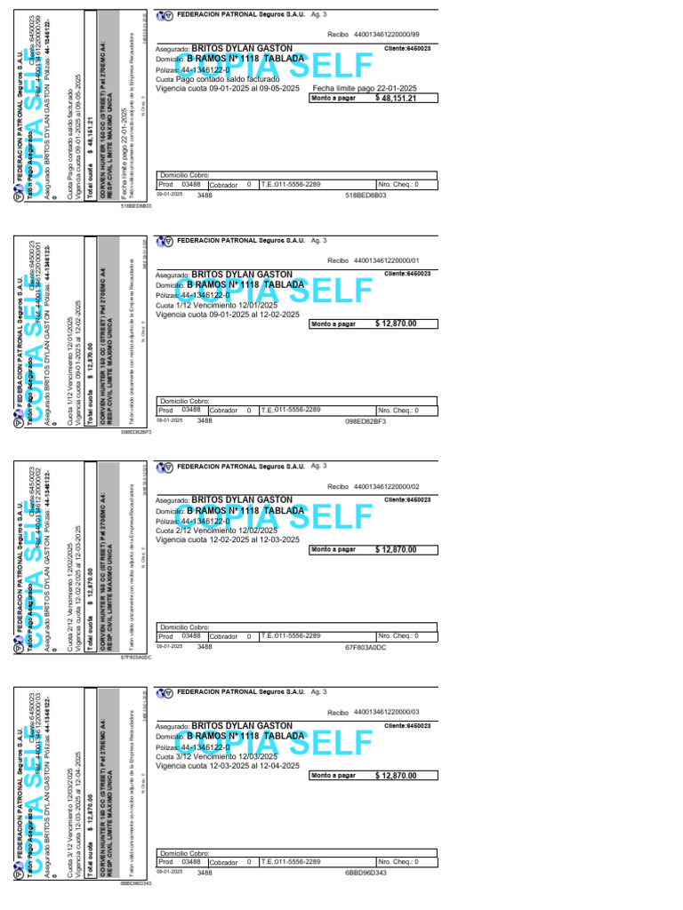 reporte - 2025-01-09T100807.699 | PDF | Servicios financieros | Seguro