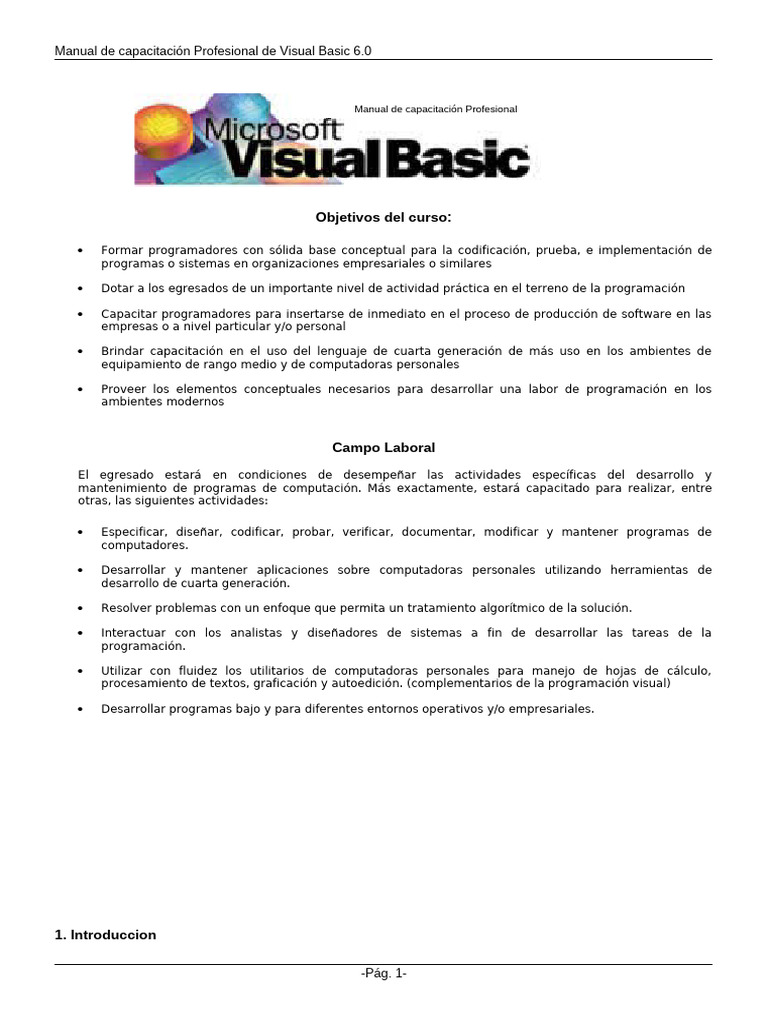 Manual VISUAL | PDF | Lenguaje de programación | Programación