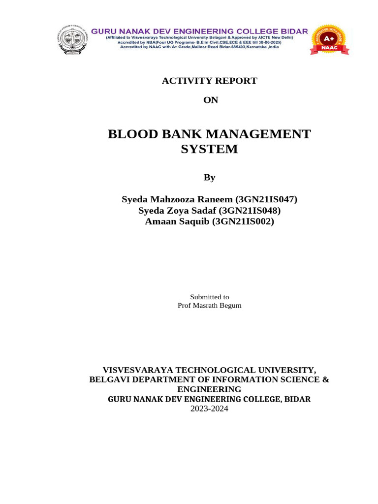 SEPM - Report Final | PDF | Databases | Usability