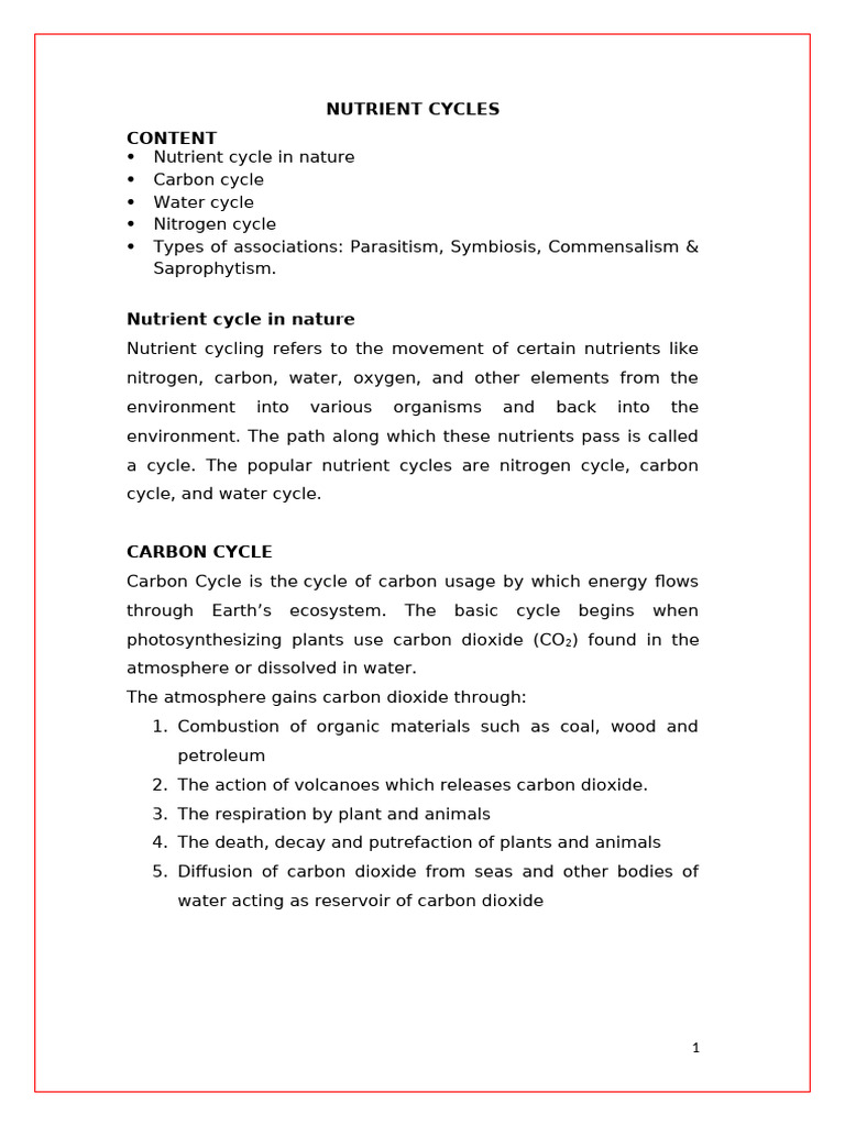 Understanding Nutrient Cycles | PDF | Agriculture | Nitrogen