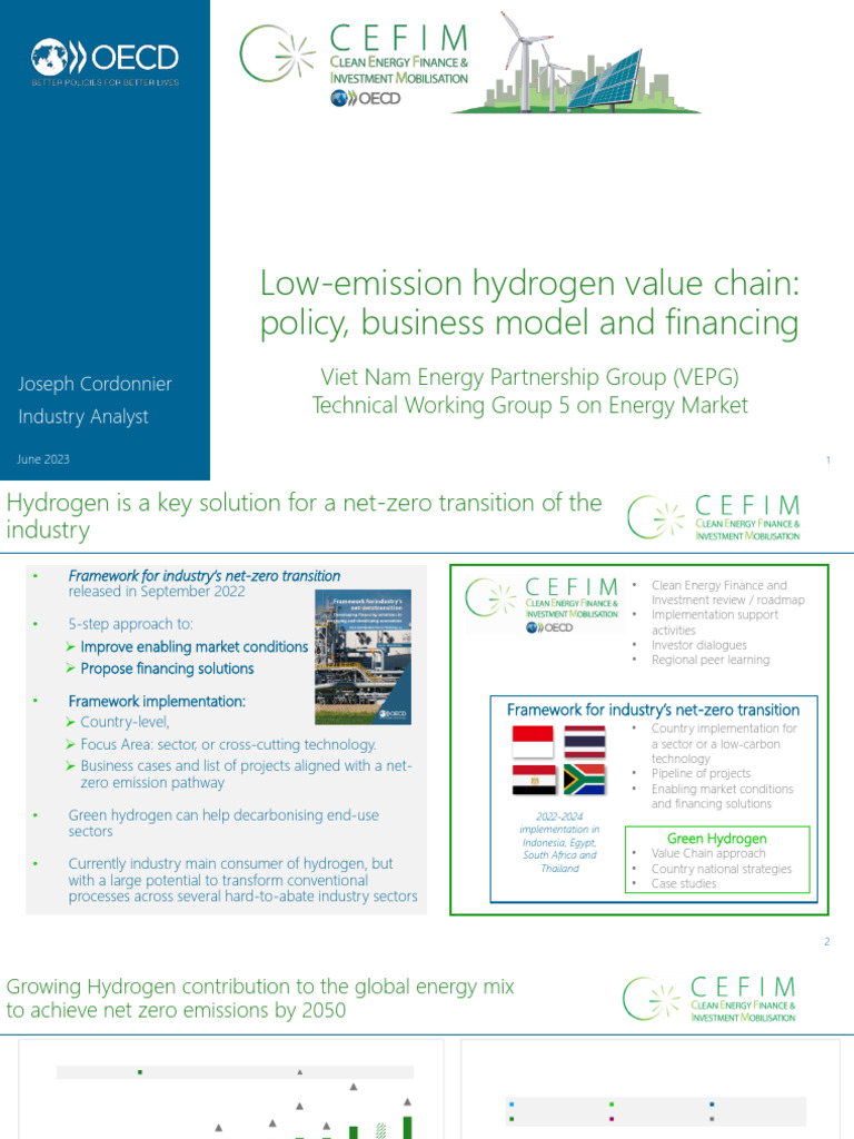 Hydrogen Value Chain for Net-Zero Transition | PDF | Low Carbon Economy ...