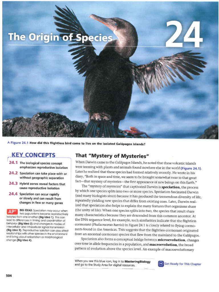 Chapter 24 The Origin of Species | PDF