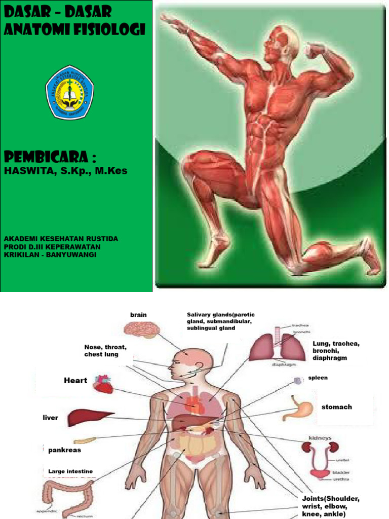 1. Dasar - Dasar Anatomi | PDF