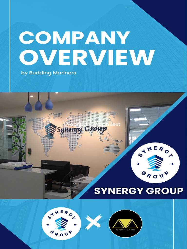 Synergy Company Overview - 37354db9 01a9 4c1e Aa87 08cc35a49c00 | PDF