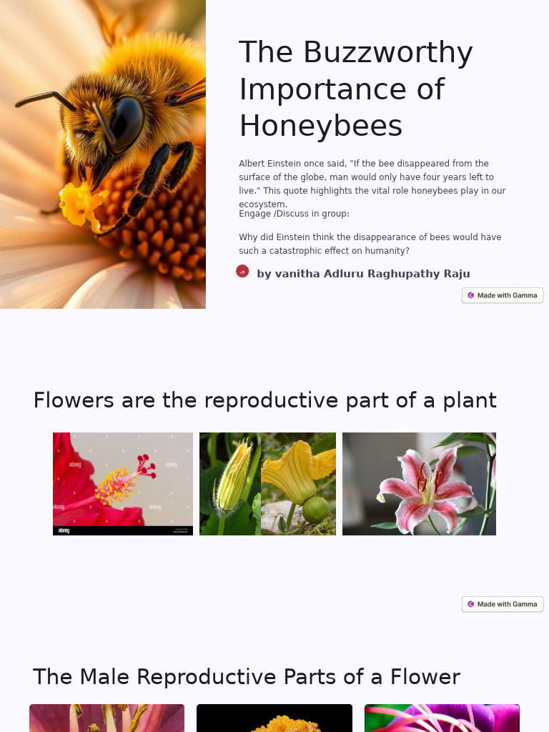 Class 5 Pollination | PDF | Flowers | Pollination