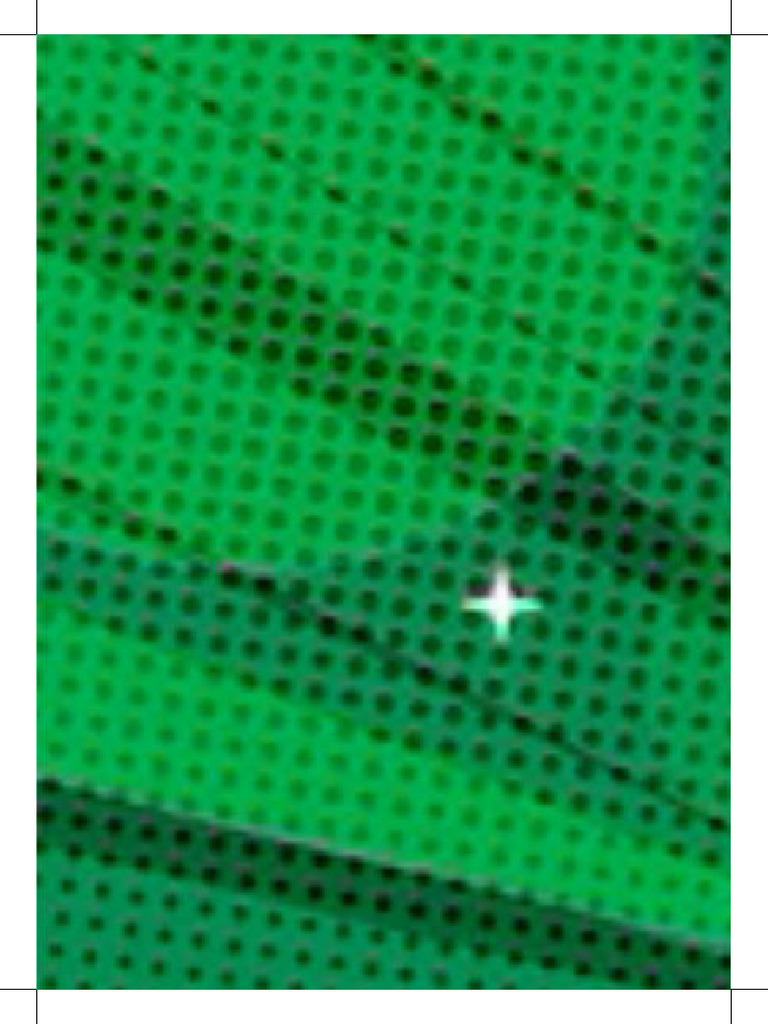 Rasterbation | PDF