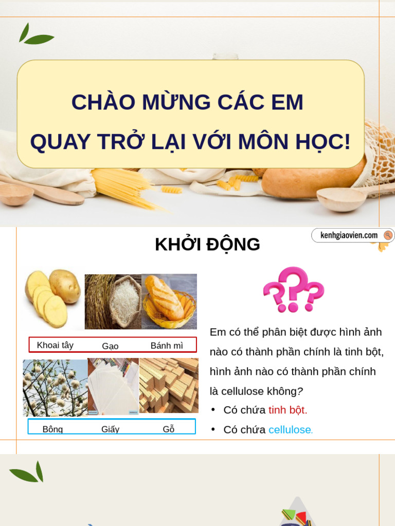 b27 Tinh Bot Ss Cellulose | PDF