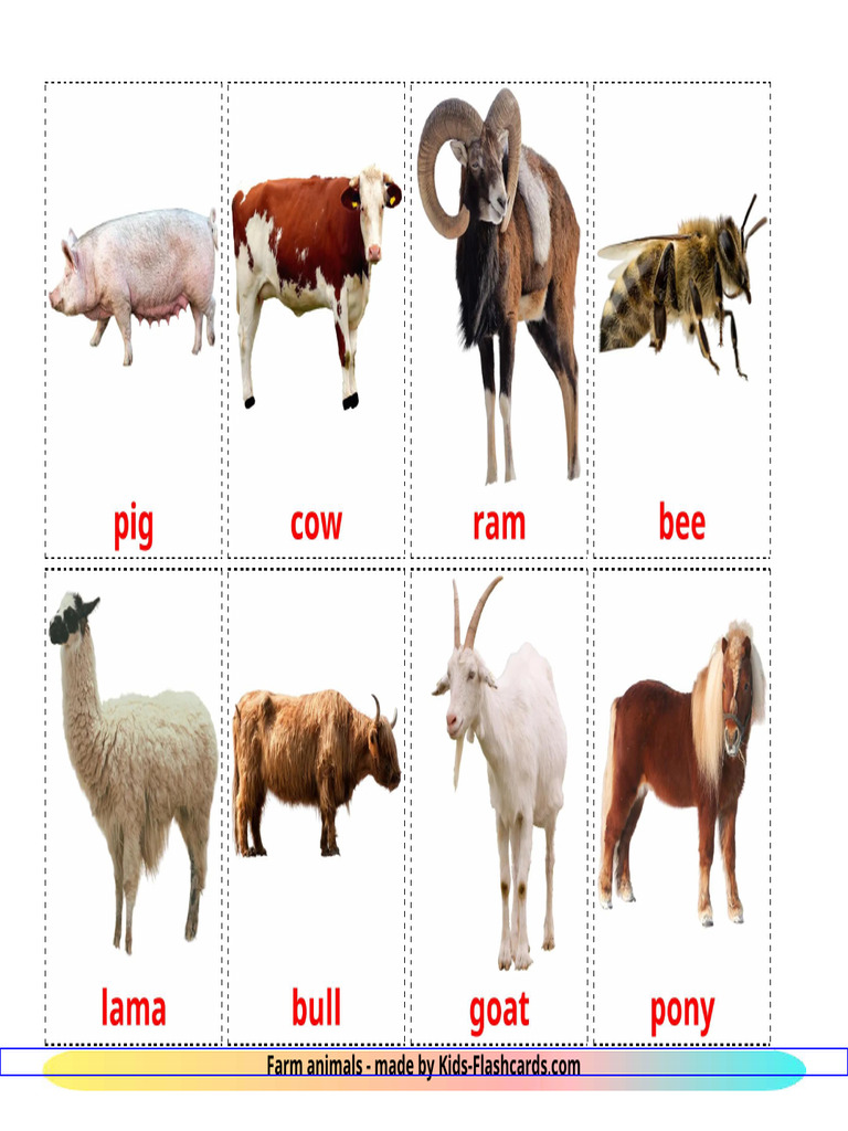 Free Farm Animals Flashcards for Kids | PDF