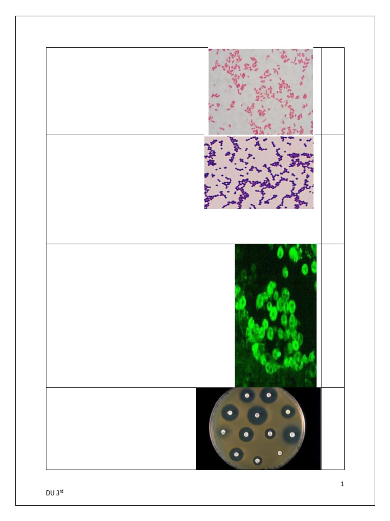 PPM Ospe | PDF | Medical Specialties | Diseases And Disorders