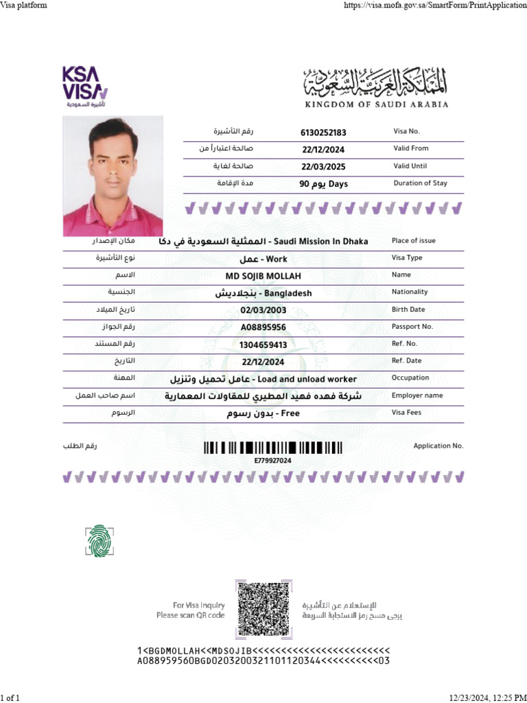 Visa_platform_KSA | PDF | Travel Visa | Immigration