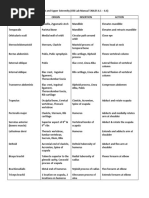 Muscle OIA: Chest, Neck, Back, Thigh | PDF | Vertebral Column | Vertebra