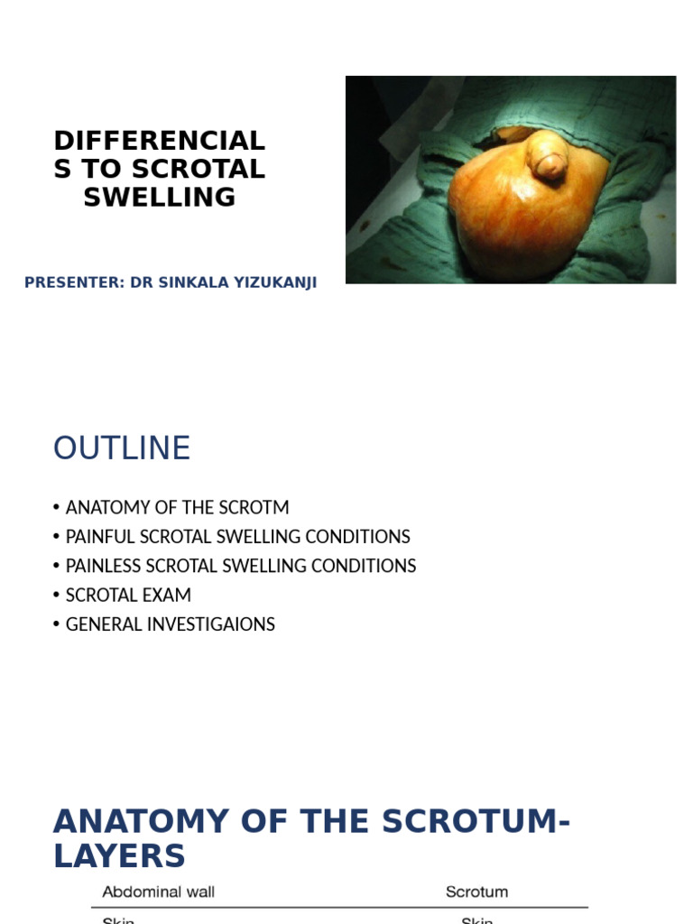 Testicular Swelling | PDF | Clinical Medicine | Diseases And Disorders