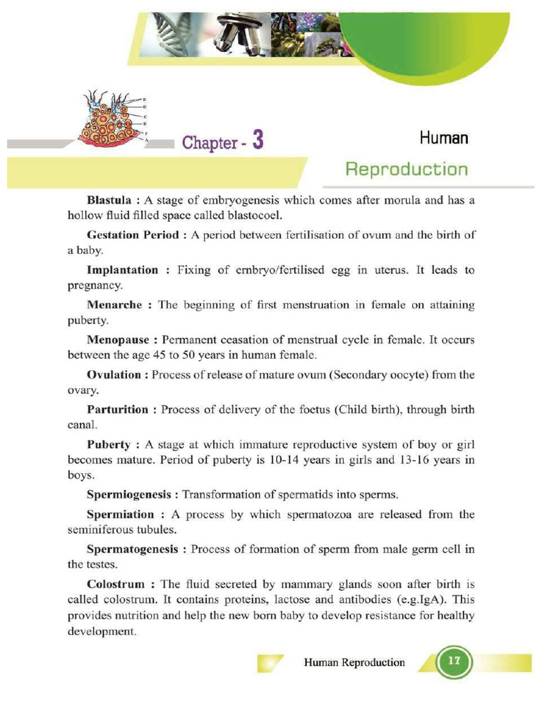 Chapter 3 - Human Reproduction | PDF