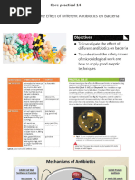 Lab Report - Identification of Unknown Bacteria - Updated | PDF ...