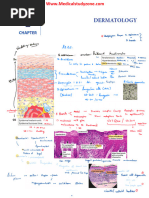 Dermatology Steroid Ladder | PDF | Pharmacy | Natural Products