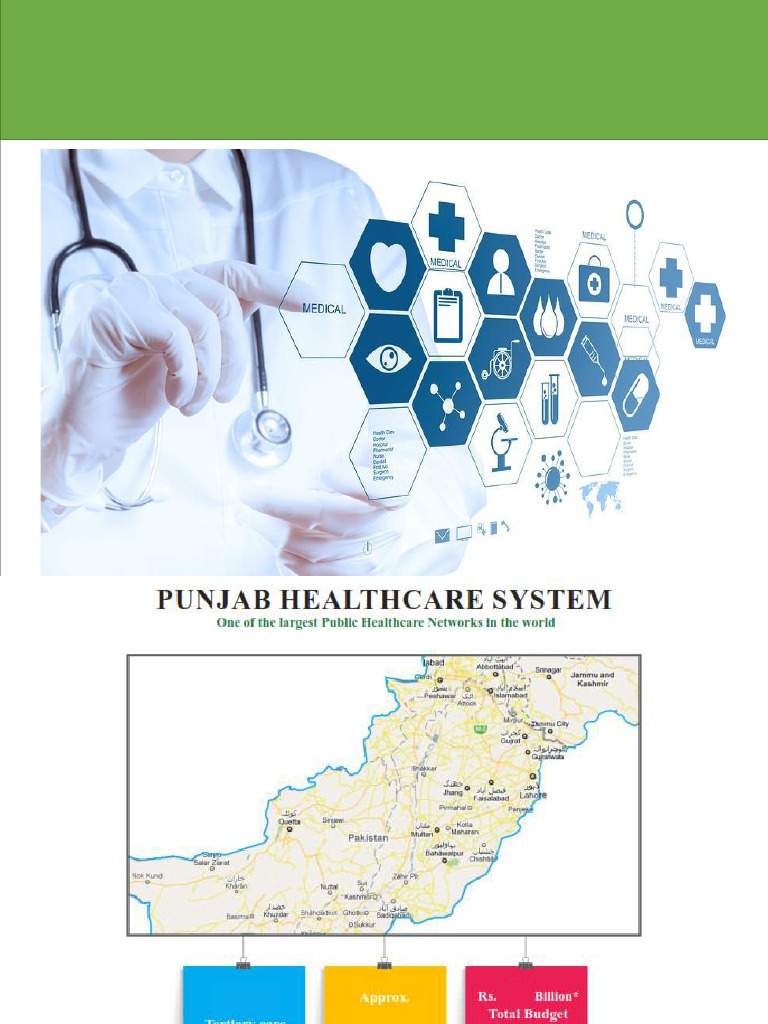 PHMS - PMO IT Project Detailed v2.0 | PDF | Hospital | Health Care