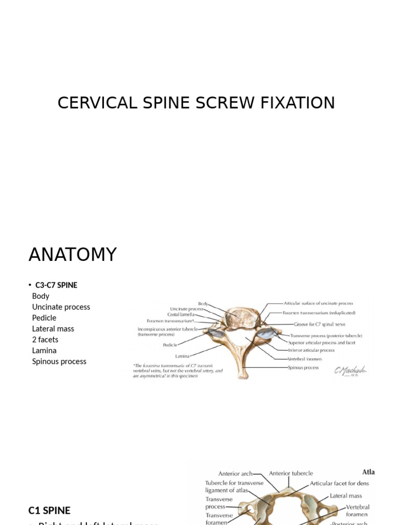 Bala sir | PDF | Vertebra | Musculoskeletal System