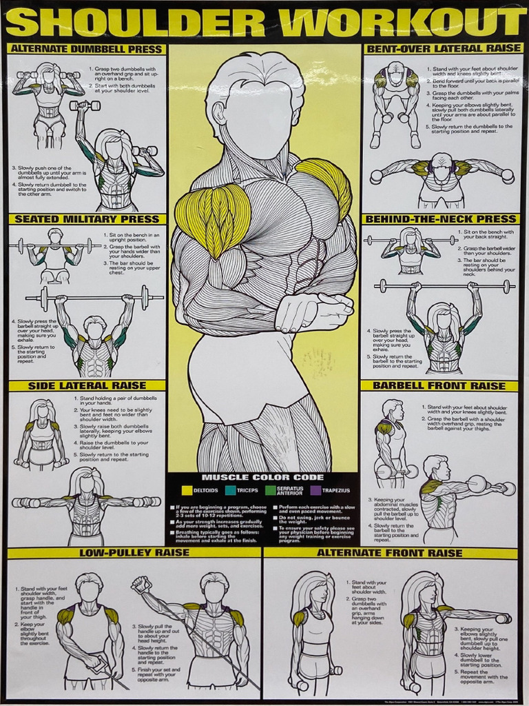 Exercises - of .The .Shoulders | PDF
