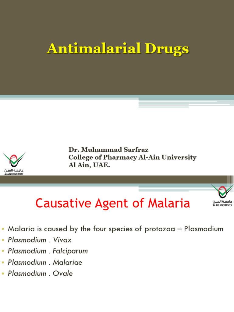 Lecture 13 Antimalarial | PDF | Malaria | Plasmodium