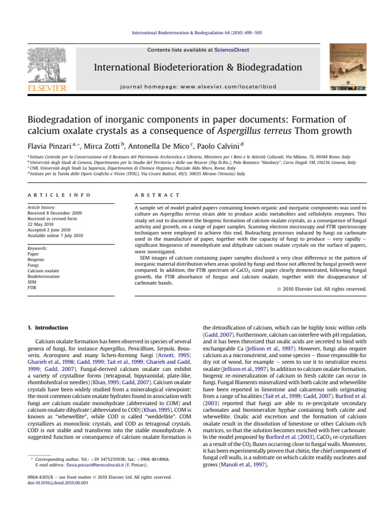 3.biodegradation of Inorganic Components in Paper Documents Formation ...