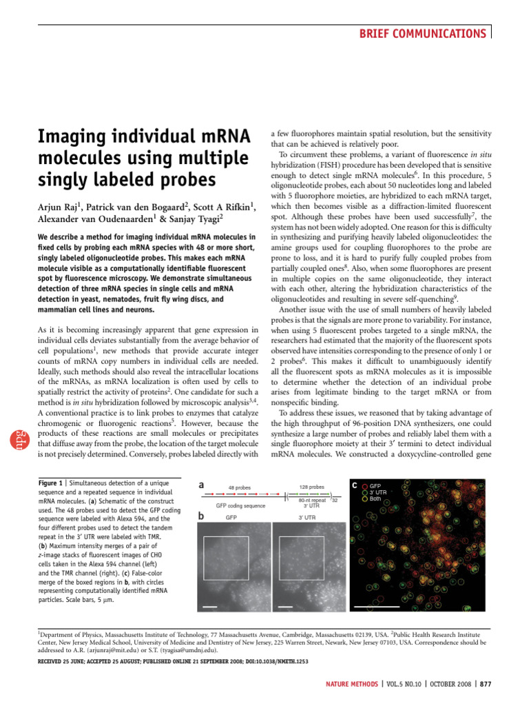 Imaging Individual MRNA Molecules Using Multiple Singly Labeled Probes ...