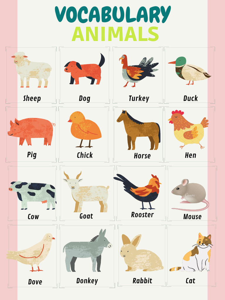 Vocabulary Animals | PDF