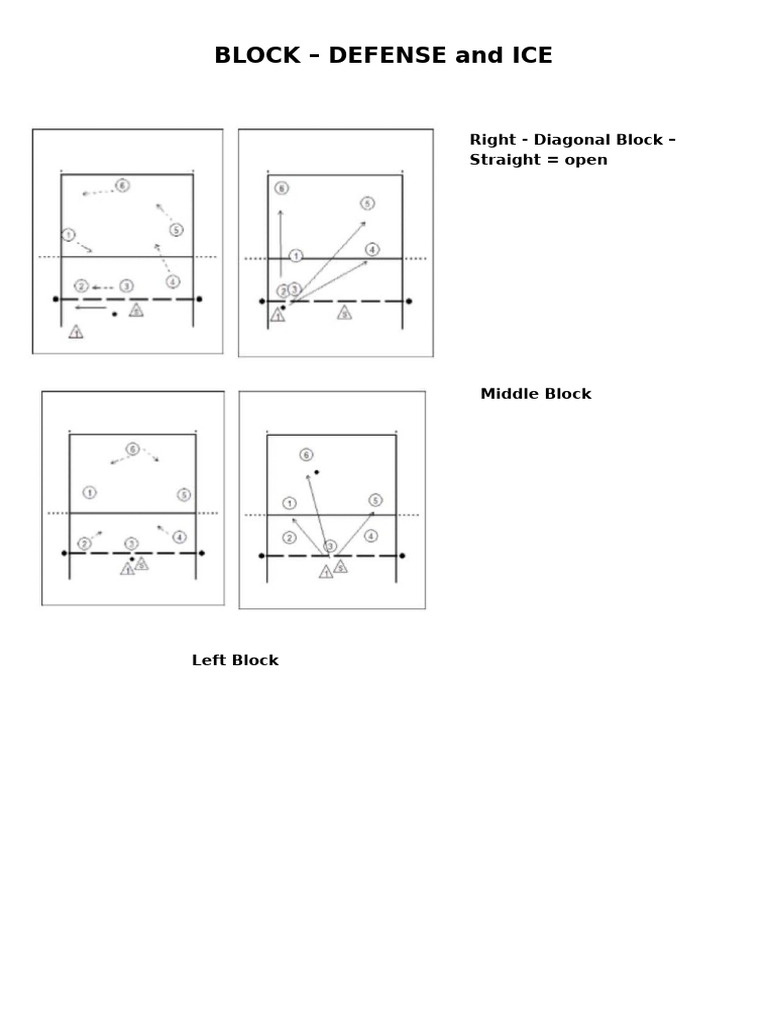 Defense and ICE | PDF