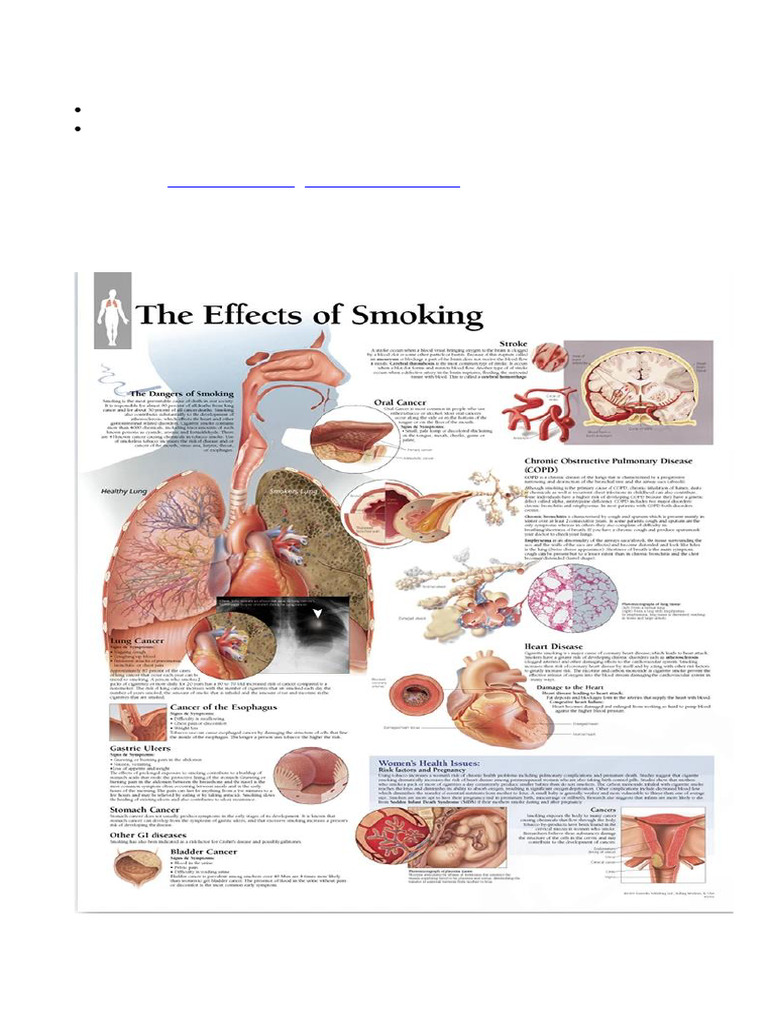 Activity Cigarette Smoking 2 | PDF