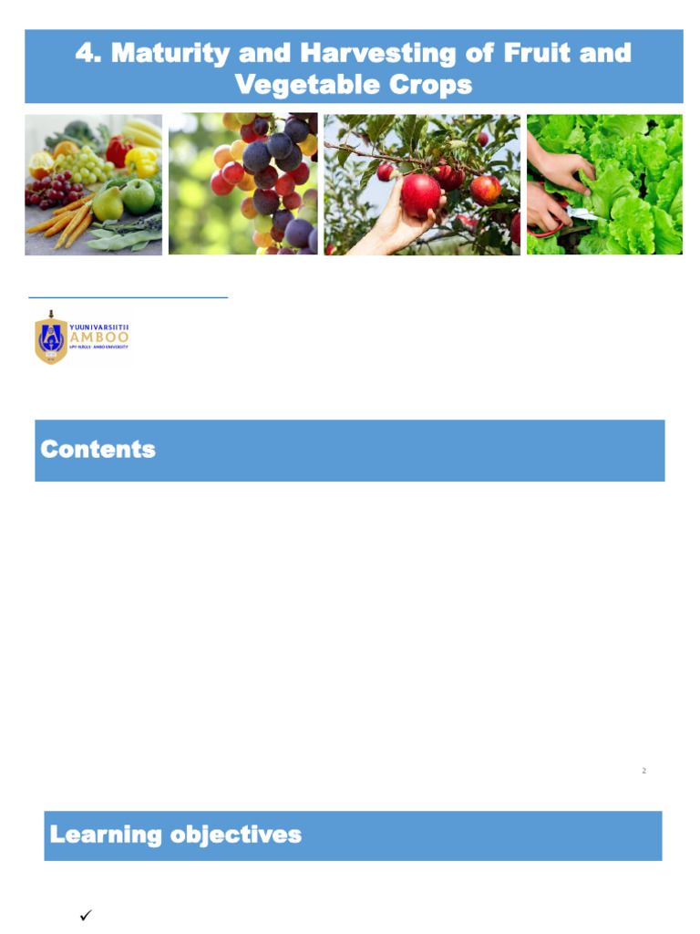 Maturity and Harvesting of Fruit and Vegetable Crops | PDF | Vegetables ...