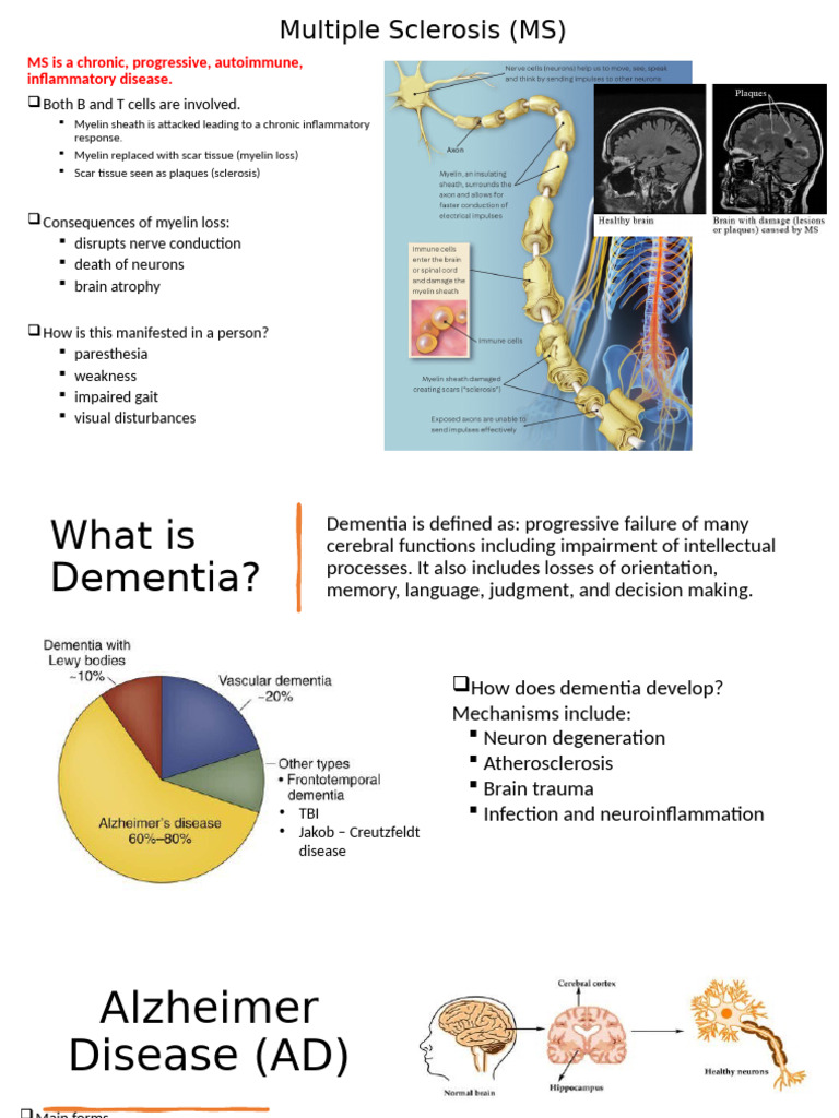 Overview CNS Disease | PDF
