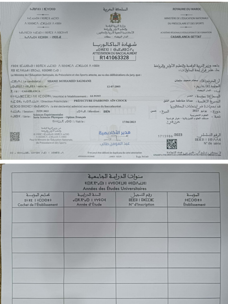 Bac 2023 | PDF