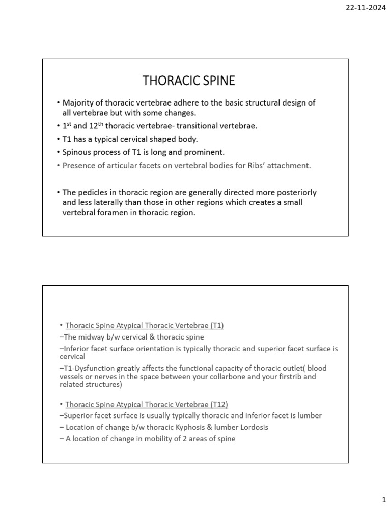 Thoracic Spine Student Notes | PDF | Vertebra | Vertebral Column