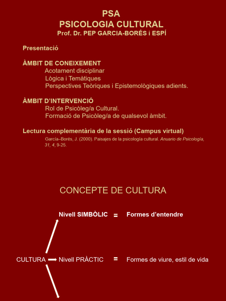 Psi Cultural PSA 2024 | PDF