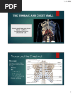Chest Muscles Anatomy Chart | PDF