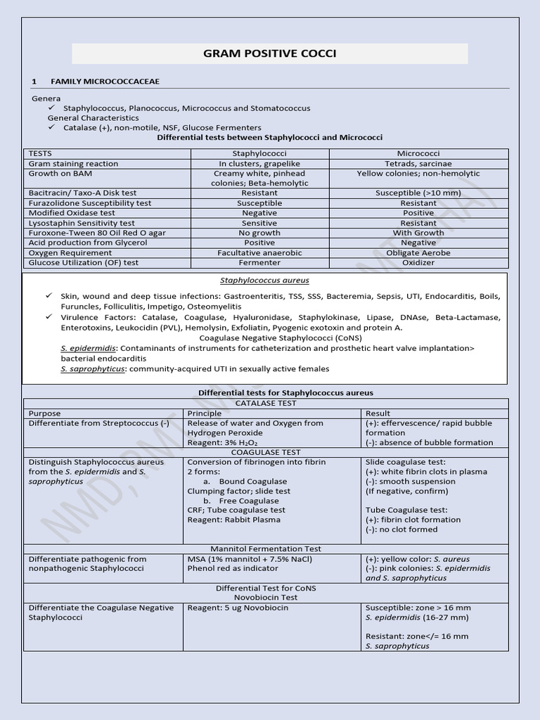 Gram Positive Cocci Identification Guide | PDF | Streptococcus ...