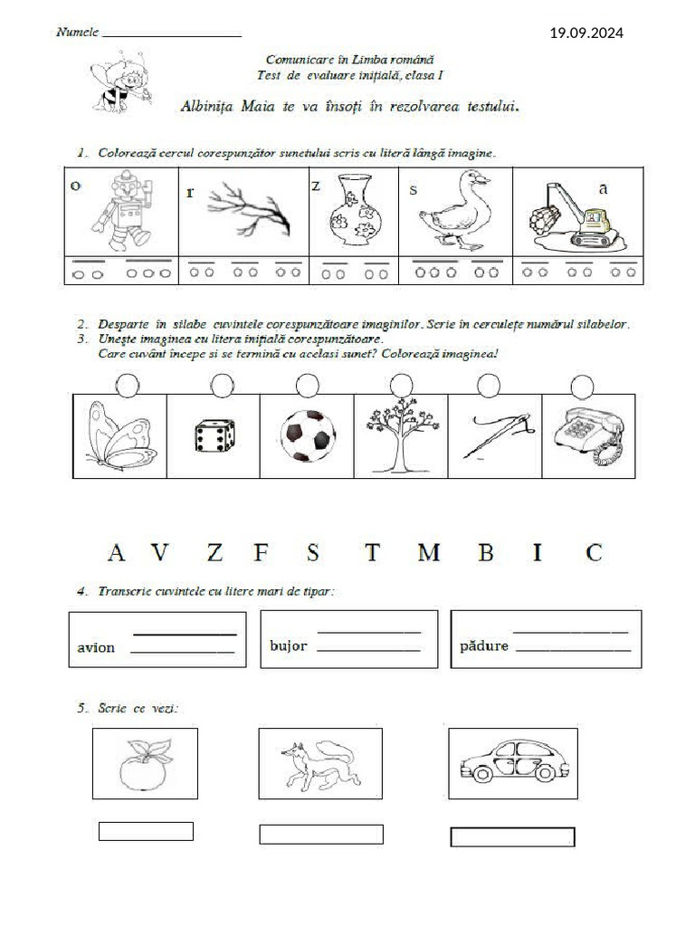 Evaluare initiala CLR | PDF