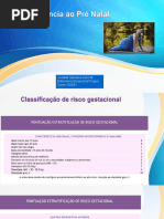 Protocolo Pre Natal Alto Risco 04 2022 | PDF | Gravidez | Doenças e ...