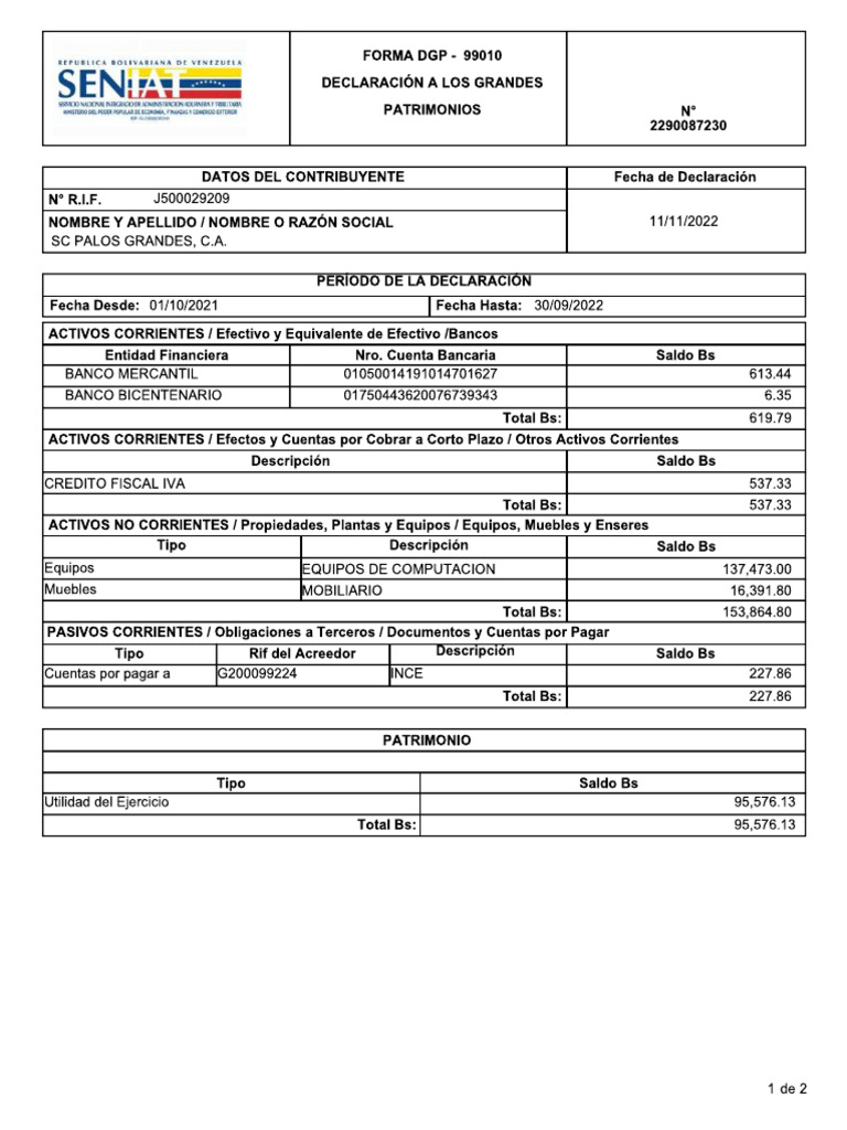 Forma DGP 99010 Declaracion A Los Grandes Patrimonios | PDF