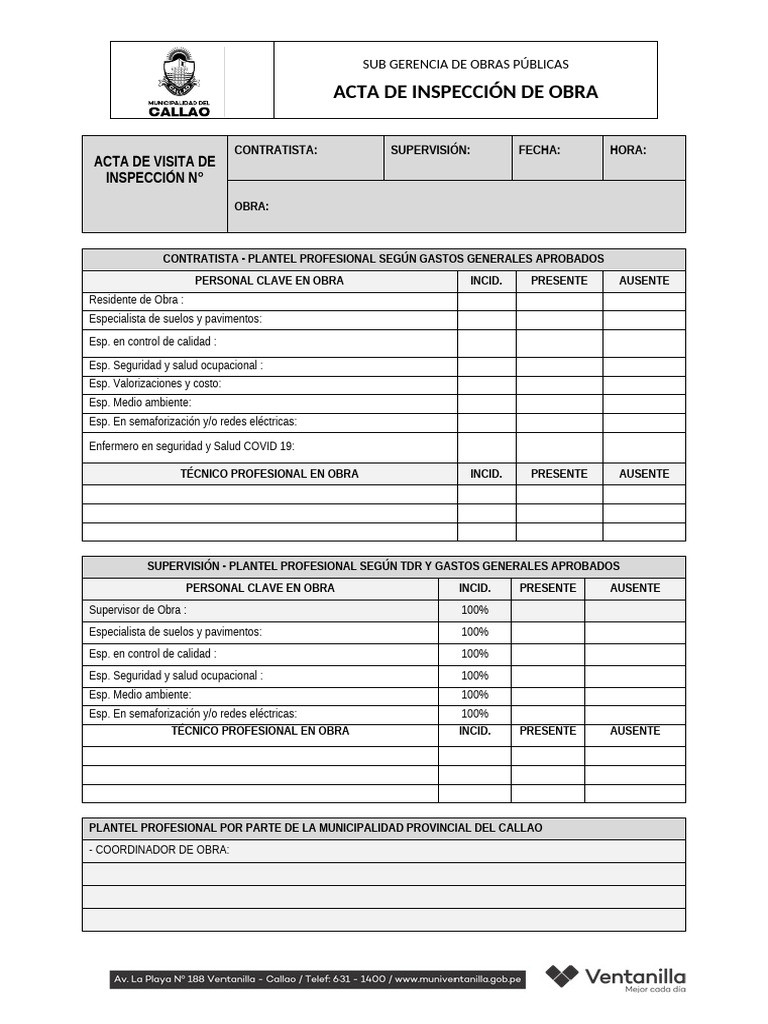 Acta de Inspeccion | PDF