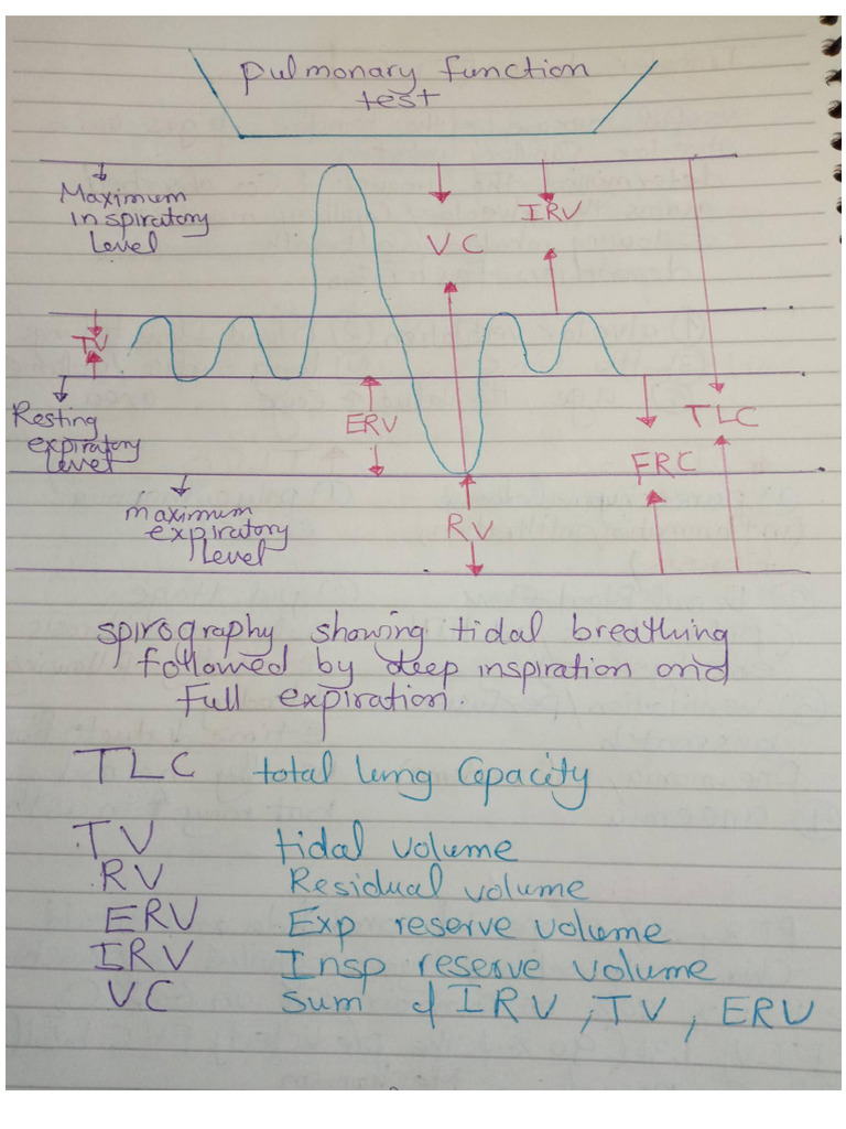 Pulmonary Function Tests | PDF