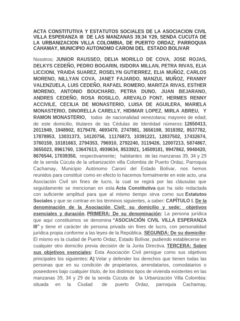 Acta Constitutiva | PDF | Votación | Bienes