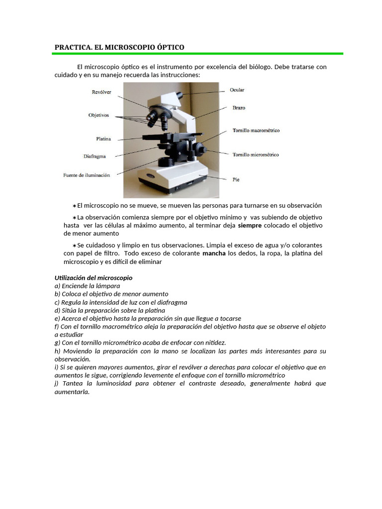 Practica MICROSCOPIO OPTICO | PDF | Microscopio | Óptica