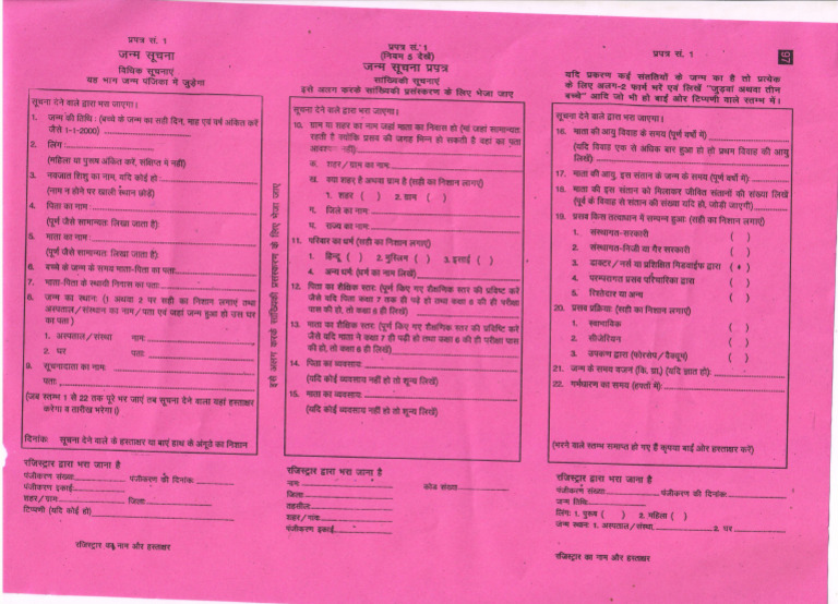 Birth Application | PDF