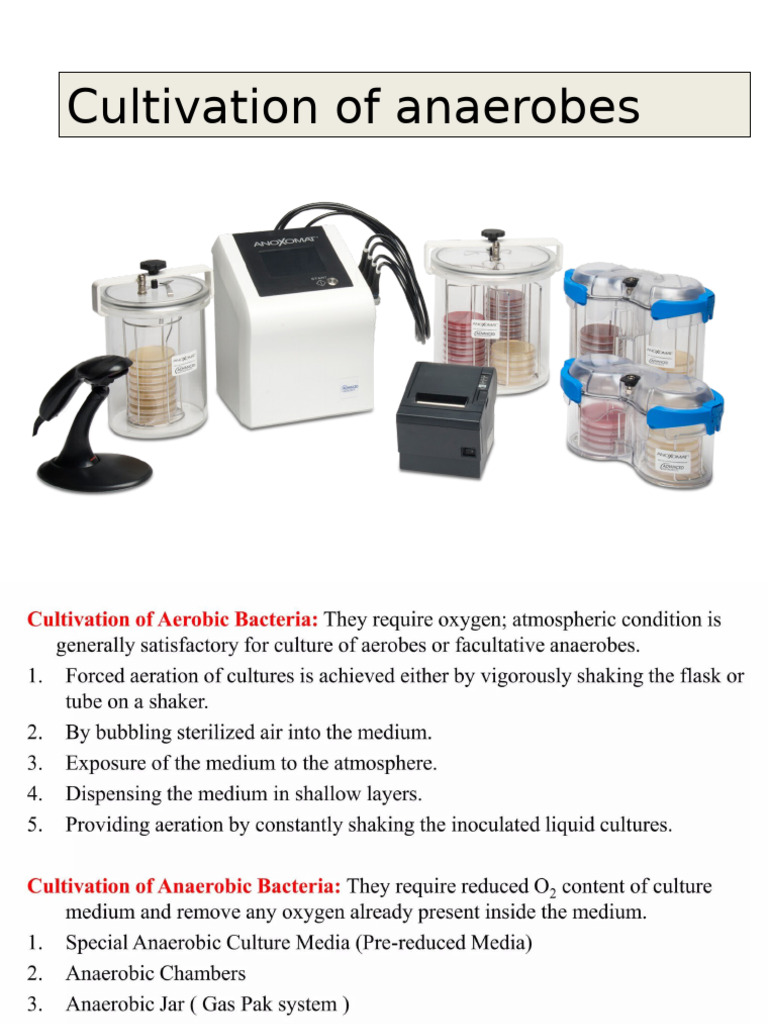 Anerobic Culture of Bacteria | PDF