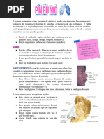 Anatomia Do Nariz e Seios Da Face | PDF | Sistema Esquelético | Otorrinolaringologia