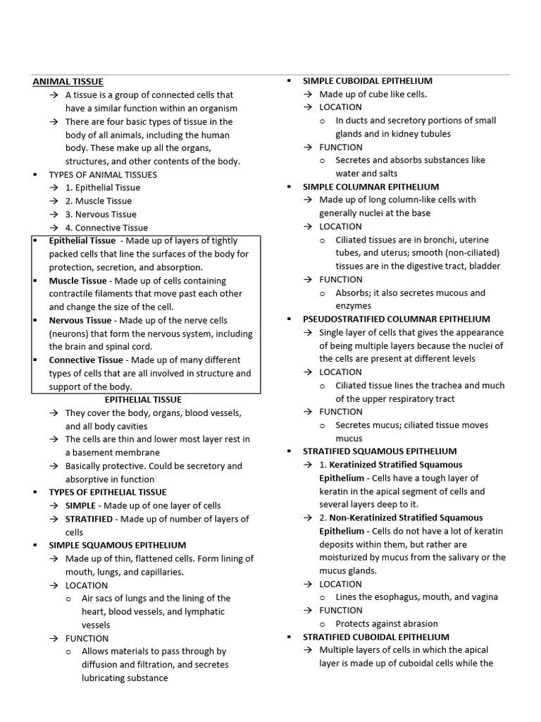 Genzoo After Midterm Lesson | PDF | Epithelium | Connective Tissue