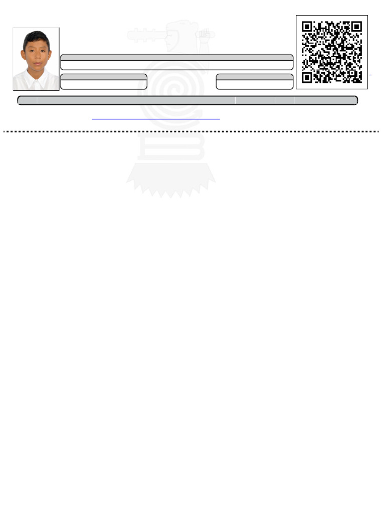 Boletas 20250106 26 | PDF