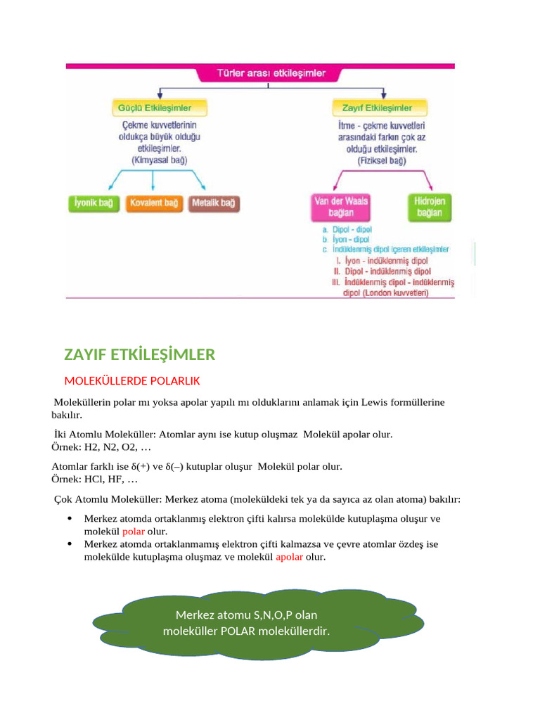 Zayif Etk | PDF