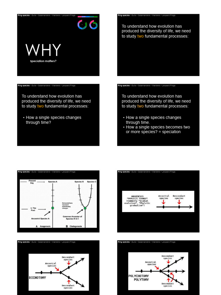 T15 Ring Species Aula Pdf Species Biological Evolution